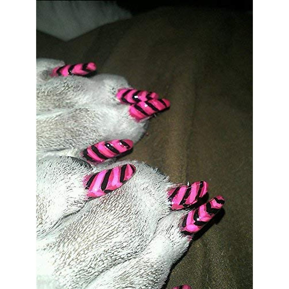 Warren London Pawdicure Dog Nail Polish Pen | Non Toxic, Odorless, & Fast Dry | Made in USA | Neon Pink