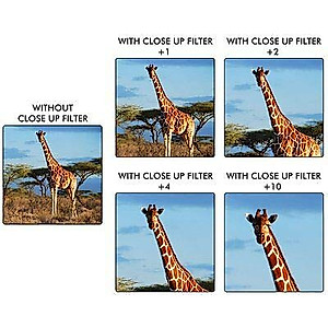 Canon EOS 2000D (Rebel T7) Digital SLR Camera with 18-55mm DC III Lens Kit (International Model) Professional Accessory Bundle Includes: SanDisk Ultra 64GB Memory Card + 50’’ Tripod + Filters and More