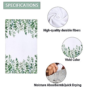 Watercolor Eucalyptus Leaves Home Sweet Home Kitchen Dish Towel 18 x 28 Inch, Summer Greenery Tea Towels Dish Cloth for Cooking Baking Set of 2