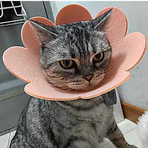 【4PCS】 Soft Cat Cone Collar,Adjustable Protective Collars for Pet Cat,Recovery cat E Collar, Anti-Bite Lick Wound Healing Soft cat Cones to Stop Licking cono para perro Cone for cat Cone Soft (M)