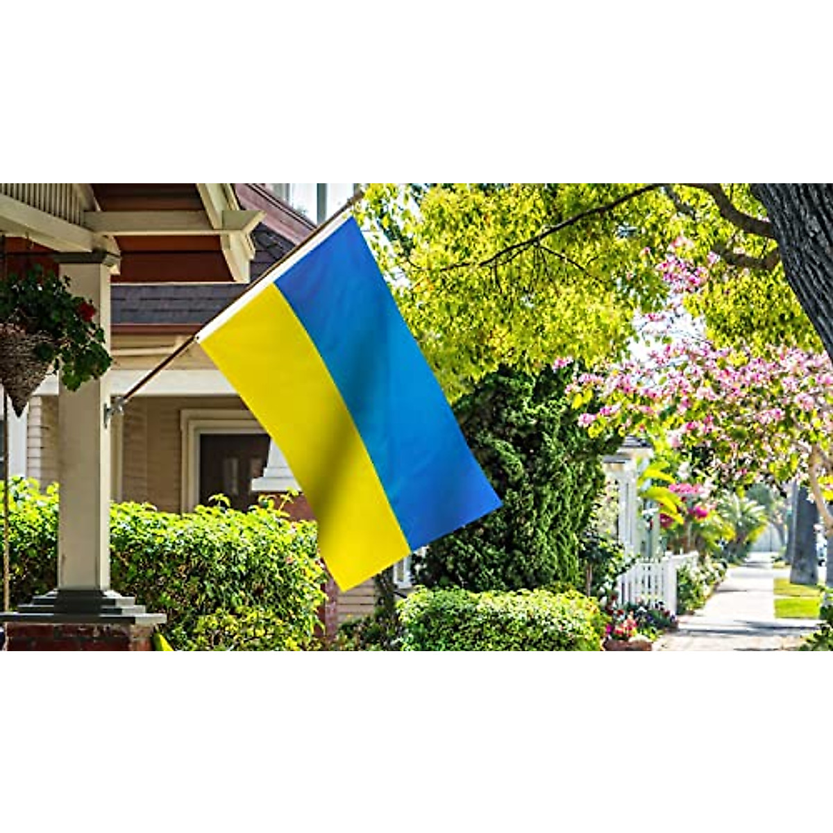 DANF Ukraine Flag 3ftx5ft Ukrainian National Flags Polyester with Brass Grommets 3x5 Foot Flag