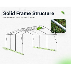 PEAKTOP OUTDOOR 20'X20' Party Tent Heavy Duty Wedding Tent Outdoor Gazebo Event Shelter Canopy with Carry Bags