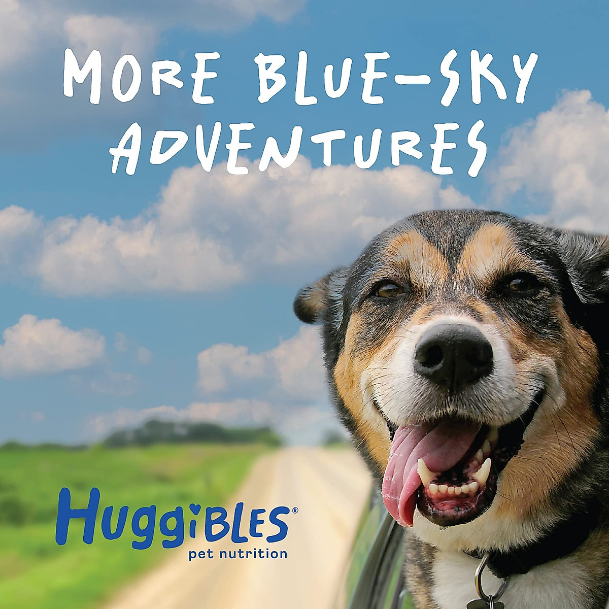 All-in-1 Dog Multivitamins and Supplement | Fish Oil, Iron, Calcium, Vitamin E, C & B12 | Joint, Immune, & Vision Support | All Natural Chewable Dog Multivitamin, Multivitamin for Dogs – Huggibles