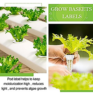 100 Pcs Hydroponic Growing Kit Include 50 Pcs Hydroponic Plant Replacement Basket Plant Growing Containers and 50 Pcs Seed Pot Label for Grow Sponges Basket Compatible with Hydroponic Growing System