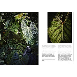 Terrain: The Houseplant Book: An Insider’s Guide to Cultivating and Collecting the Most Sought-After Specimens