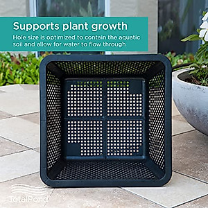 TotalPond Aquatic Plant Basket, 10-inch