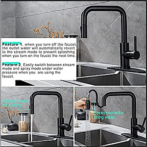 Kitchen Faucet Single Handle Stainless Steel Kitchen Sink Faucet with Pull Out Sprayer Matte Black