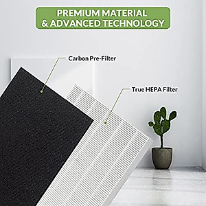 Homeland Goods True HEPA Replacement Filter S, Compatible with Winix C545 Air Purifier, Replaces Winix S Filter 1712-0096-00, H13 Grade 1 True HEPA Filter + 4 Activated Carbon Filters (1)
