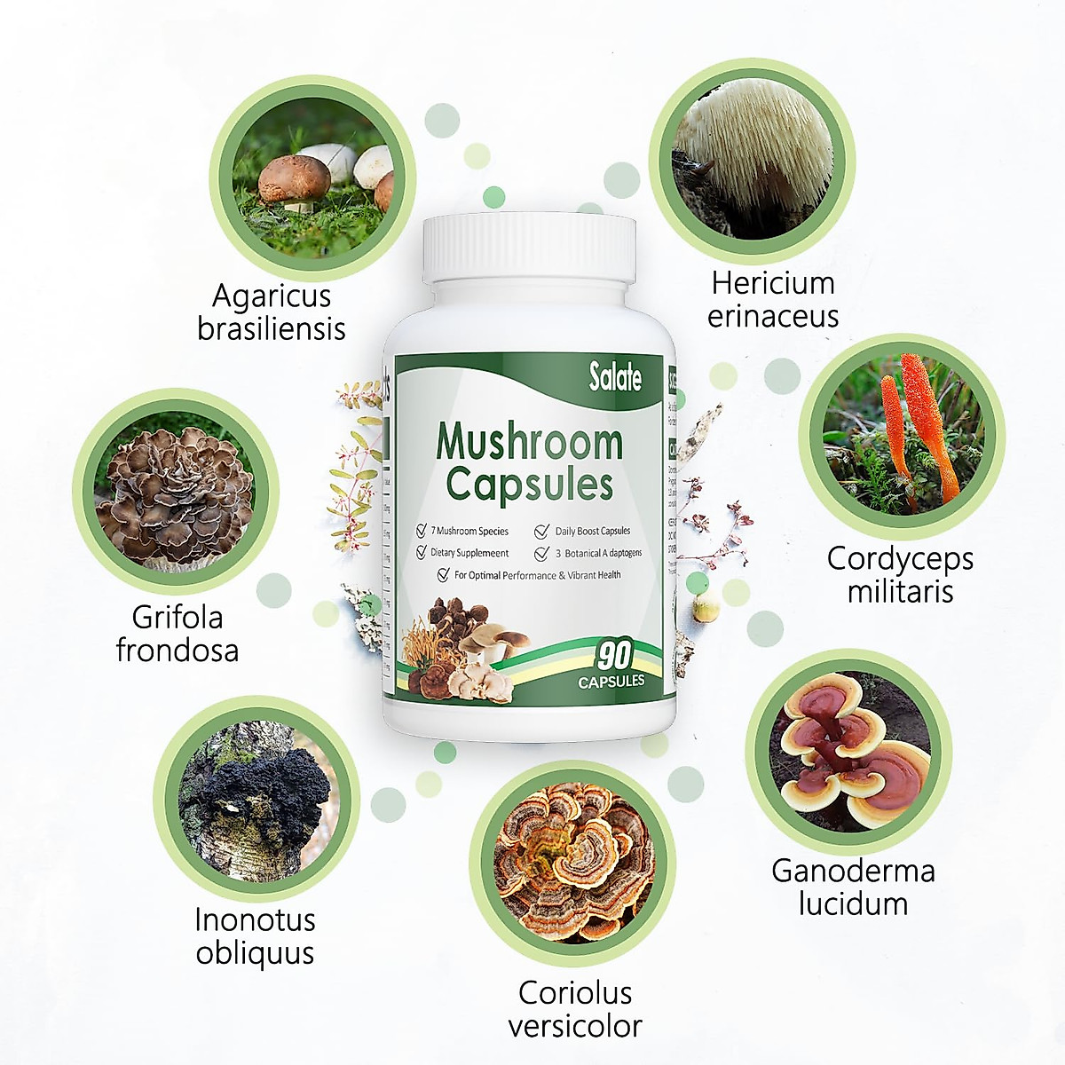 Salate Lion's Mane Supplement Organic Mushroom Extract for Memory and Focus, Concentration & Immune Support Brain Capsules with 100% Fruit Bodies & Extracts