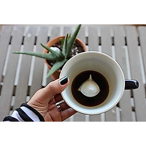 Creature Cups Shark Ceramic Cup (11 Ounce, Deep Blue Exterior) - Hidden Animal Inside Mug - Birthday, Holiday, and Housewarming Gift for Coffee & Tea Lovers