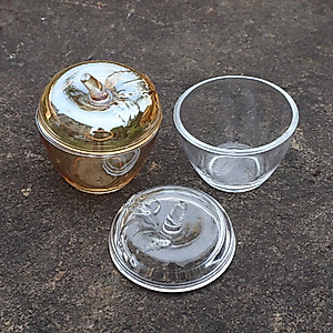 Mozacona GLass Relief Apple Sugar Bowl Candy Dish Food Storage Container with Lid