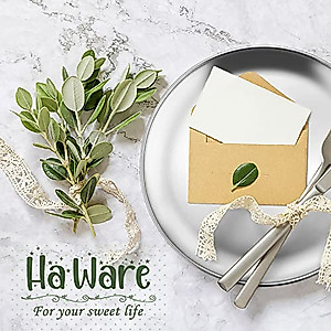 HaWare 4-Piece 18/8 Stainless Steel Plates, Metal 304 Dinner Dishes for Kids Toddlers Children, 9 Inch Feeding Serving Camping Plates, Reusable Dinnerware, Shatterproof & Non-toxic, Dishwasher Safe