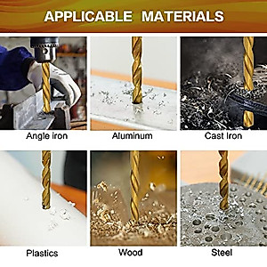 GMTOOLS 13 Pcs Titanium Coated Twist Hex Shank Drill Bit Set, 135 Degree Tip HSS Impact Drill Bit Set with Storage Case for Metal, Aluminum, Steel, Wood, Plastic, Quick Change Design 1/16" to 1/4"