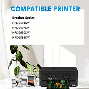 BINKSYLER Compatible LC3013 Ink Cartridges Replacement for Brother LC3013 LC3011 Work with Brother MFC-J491DW MFC-J497DW MFC-J690DW MFC-J895DW MFC-J487DW (6 Black,2 Cyan,2 Magenta,2 Yellow) 12-Pack