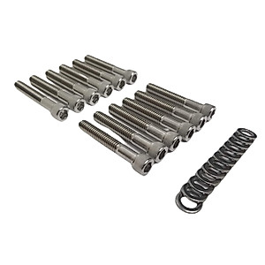 Z Whip SBF Stainless-Steel Intake Manifold Bolt Kit Stainless Steel Socket Cap BOLTS Compatible with Ford Small Block V8 Engines 260 289 302 5.0L Mustang EFI Cars and F-series Trucks SB