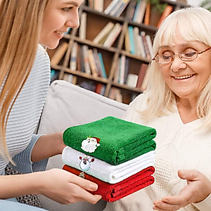 Christmas Hand Towels, 3 Packs Decorative Dish Towels Set, 100% Cotton Wash Basin Towels for Drying, Cleaning, Cooking & Baking, Embroidered Christmas Holiday Design Towels Gift Set