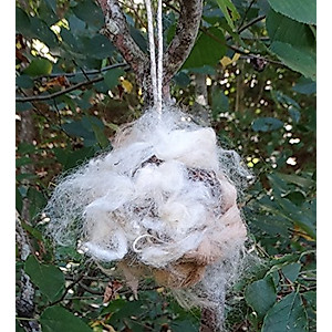 Alpaca Fiber Bird Nesting Ball with Refill Fiber - Comfort for your wildlife