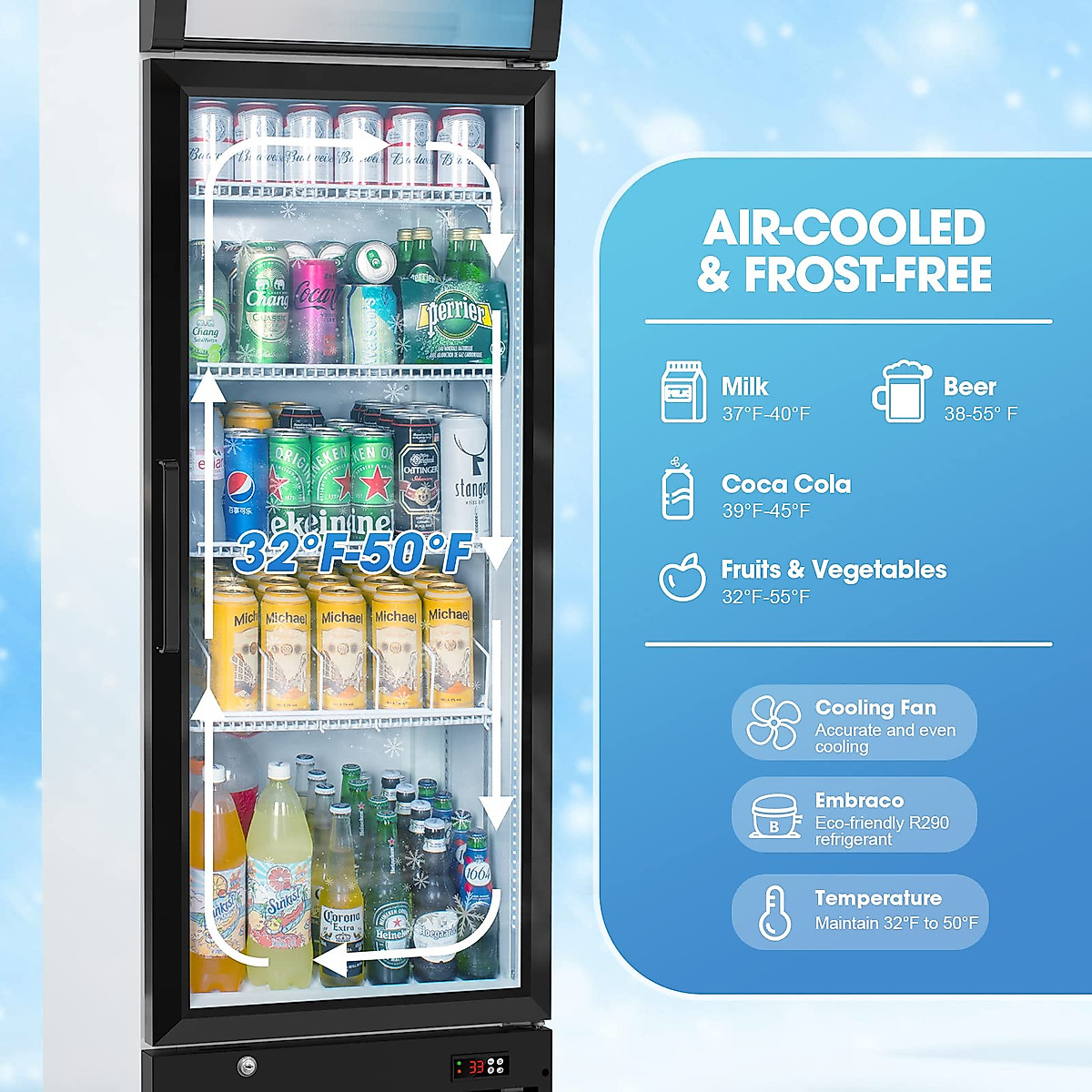 COTLIN Glass Door Merchandiser Refrigerator with LED Lighting, 12.5 cu.ft Commercial Beverage Cooler, Dual-Layer Glass Extra Adjustable Shelves and Drink Organizers, ETL NSF Approved