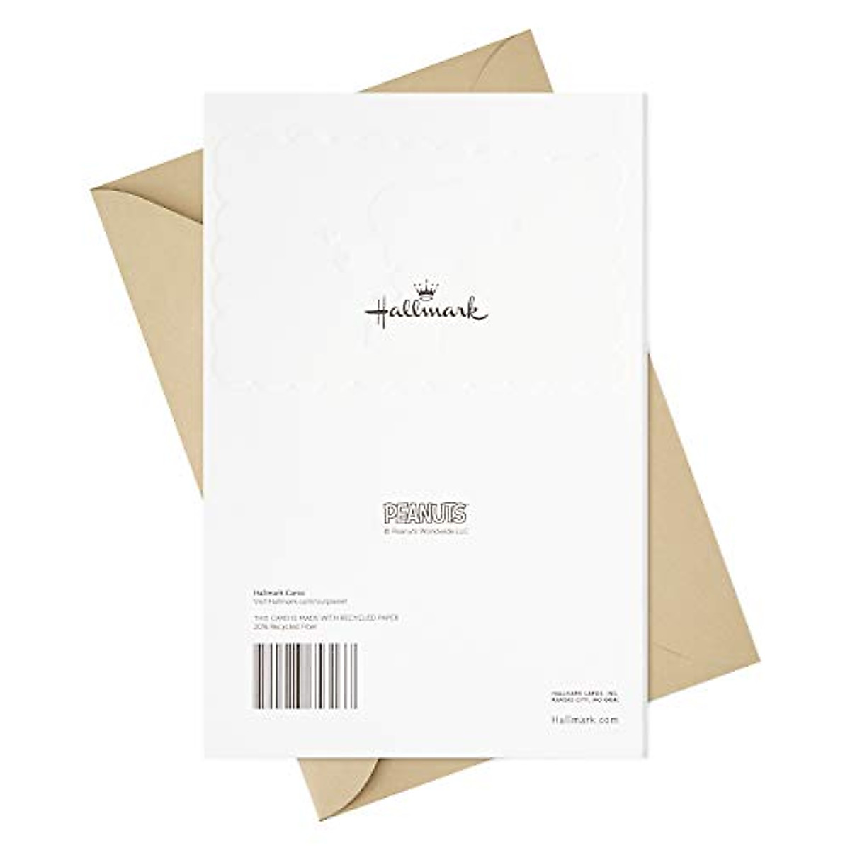 Hallmark Anniversary Card (Peanuts Vignette) (0399RZB1111)