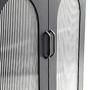 Creative Co-Op Solstice Wide Metal 2 Adjustable Storage Shelves and Arched Glass Door, Black Accent Cabinet, 40"