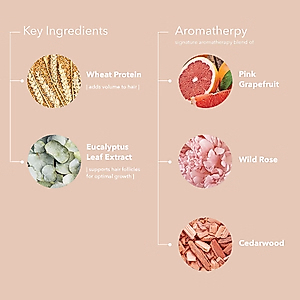 Pureology Pure Volume Conditioner | For Flat, Fine, Color-Treated Hair | Restores Volume & Movement | Sulfate-Free | Vegan | Updated Packaging | 1.7 Fl. Oz. |