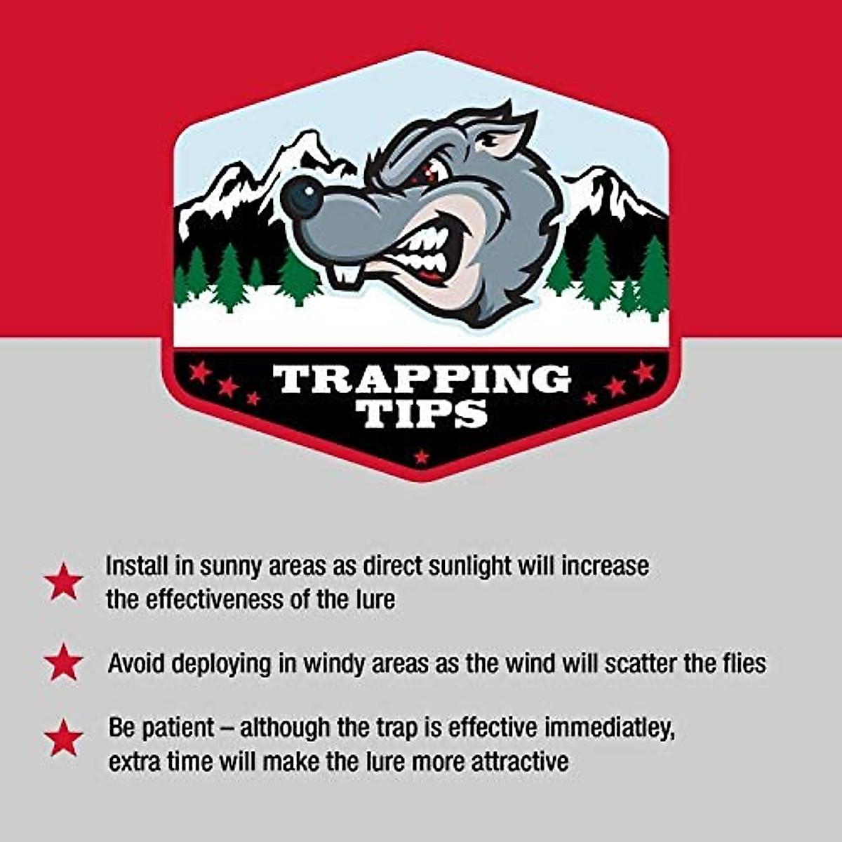 Reusable Trap Fly Jar by Catchmaster - 6 Count, Ready to Use Outdoors. Flying Insect BugTrap, Water Soluble Attract Attractant Scent. Blowfly Trap Captures Hundreds of Common Flies - Made in The USA