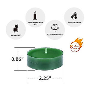 Zest Candle 12-Piece Tealight Candles, Mega Oversized Hunter Green s