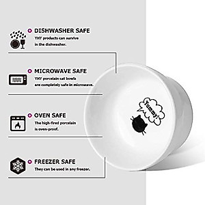 Y YHY Cat Bowl, 15 Ounce Cat Water Bowl, Raised Ceramic Cat Food Bowl, Elevated Cat Dog Dish No Spill, Pet Bowls for Cats or Small Dogs, Anti Vomiting, Measurable, White