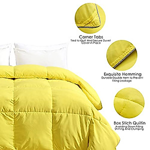 BPC Twin Size Down Comforter - Goose Duck Down and Feather Filling - Soft Brushed Microfiber Fabric-All Season Feather Down Comforter Duvet Cover with Cover Tabs Duvet Insert