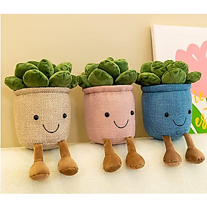 NatureMan Stuffed Plants Succulent Plush, Soft Fluffy Toy Succulent Plants Friend Throw Pillow,Succulents Plushies Pillow Toy Room (Blue)