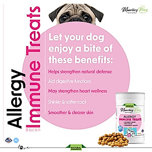 Dog Treats Omega 3 Made in USA Immune Supplement 300 Count (Peanut Butter)