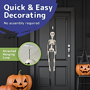 Prextex Skeleton Halloween & Day of The Dead Decoration for Home and Office - 19 Inch Posable Plastic Small Skeleton Toy Halloween Décor with Movable / Bendable Joints and 2 Sets of Body Accessories