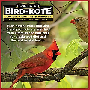 Pennington Pride Red Bird Blend Wild Bird Seed, 10 lb
