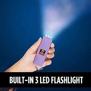 Guard Dog Hornet Micro Stun Gun Keychain - with LED Flashlight, Safety Switch, and Powerful Shock, Heavy Duty Keychain Stun Gun with Bright Flashlight, Built-in Charger, Women Self Defense - Purple