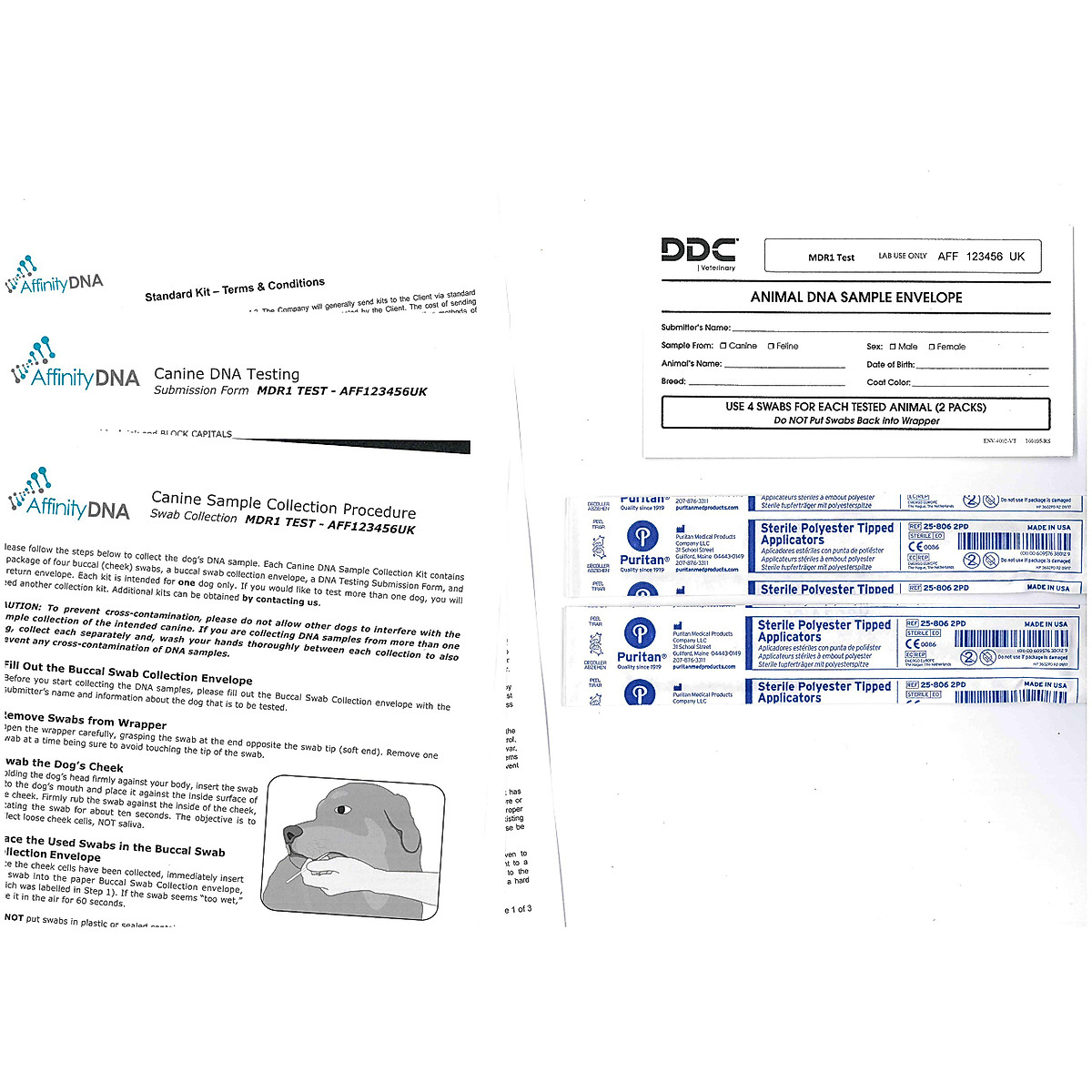 AffinityDNA Dog Multidrug Resistance 1 (MDR1) DNA Test Kit | Home Sample Collection Kit for 1 Canine | Puppy MDR1 Testing Kits | Results in 7 Working Days | A Complete Kit with No Extra Fees