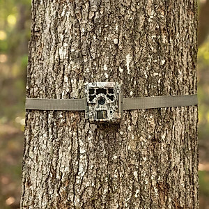 Moultrie Micro-42 Trail Camera Kit