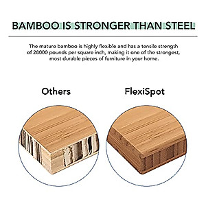 FLEXISPOT E8 Dual Motor 3 Stages Bamboo Electric Standing Desk 60x30 Inch Oval Leg Whole-Piece Board Height Adjustable Desk Electric Stand Up Desk Sit Stand Desk (White Frame + Bamboo Desktop)