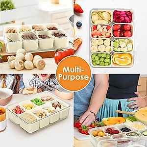 Hermit Home Snackle Box with Lid and Handle - Snack Containers, Charcuterie Platters, Clear Organizer for Candy, Fruits, Nuts, Snacks - with 8 Forks and 2 Spoons