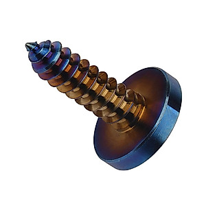 Wanyifa Titanium M4 M5 15 17 20mm Self Tapping Screw Torx Head Motorcycle Bolt Pack of 4 (M4x15mm, Burnt Blue)