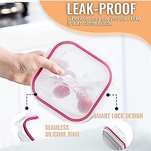 FILTA 4 Pack Glass Food Storage Containers with Lids: Glass Meal Prep Containers For Lunch,Leftover,Dishwasher Safe