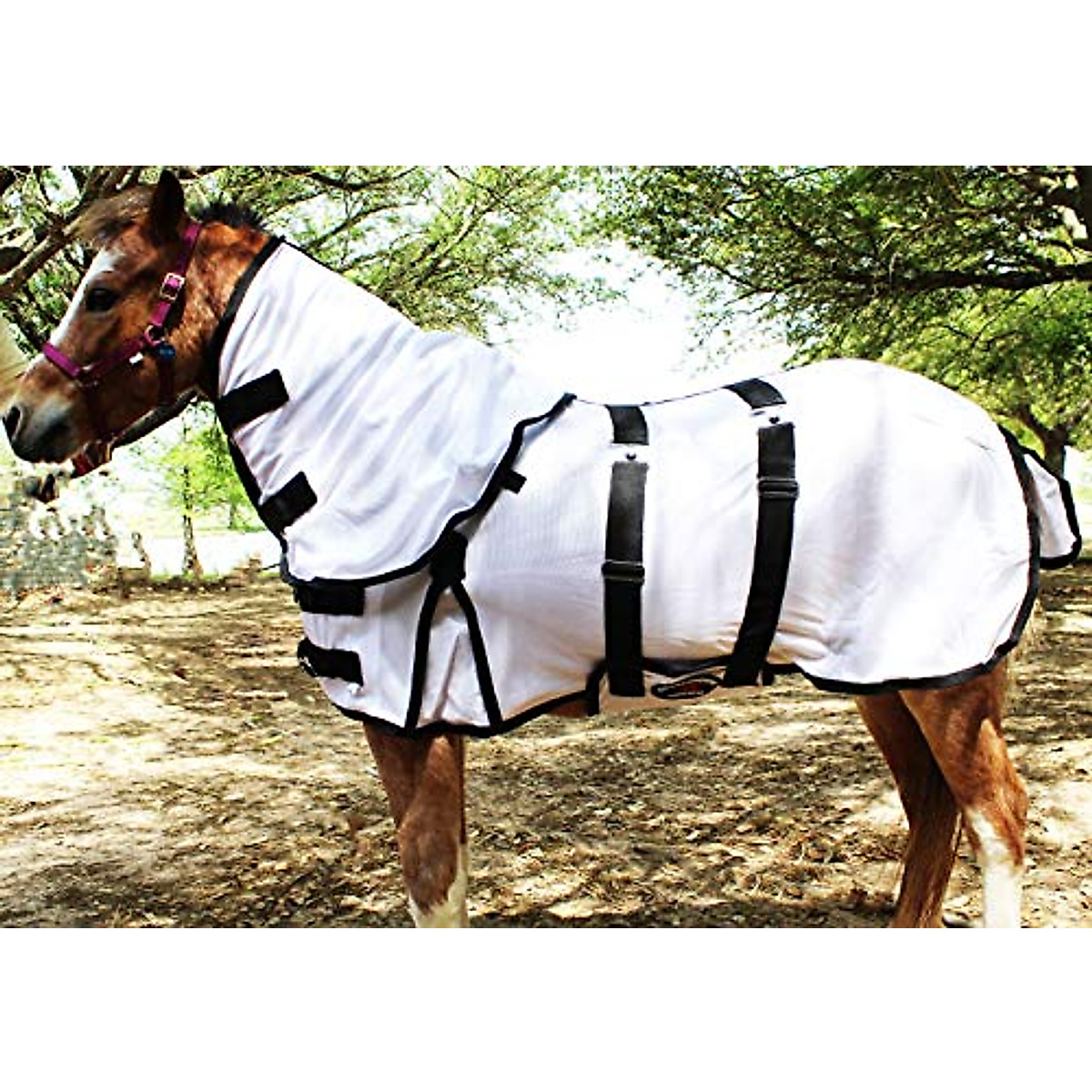 58" Miniature Weanling Donkey Pony Horse Foal FlySheet Summer Sheet White 51809