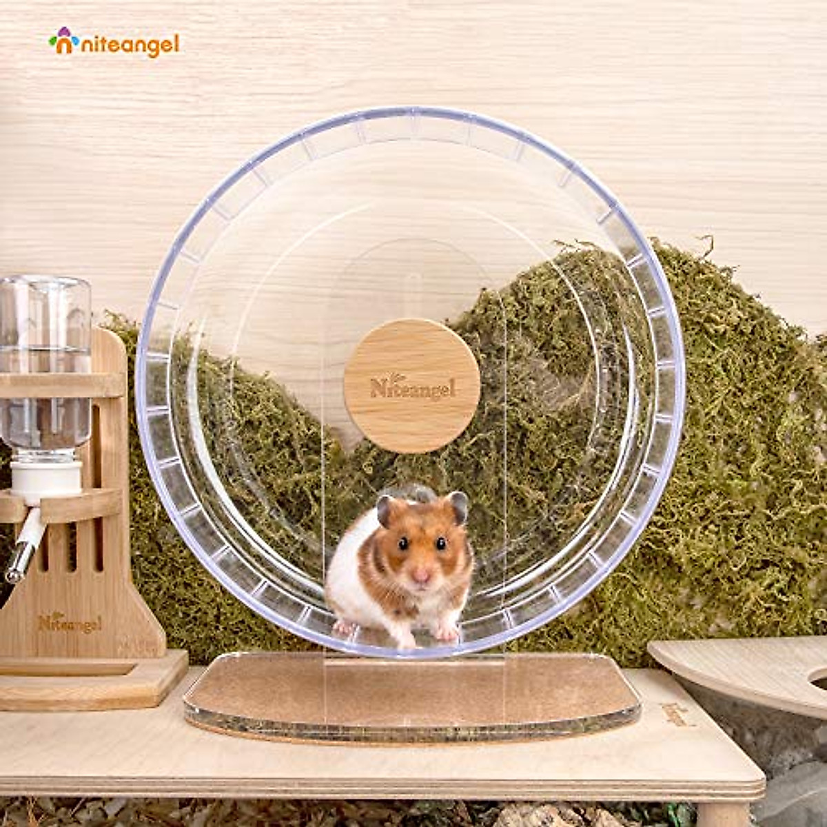Niteangel Super-Silent Hamster Exercise Wheels - Quiet Spinner Hamster Running Wheels with Adjustable Stand for Hamsters Gerbils Mice Or Other Small Animals (M, Transparent)
