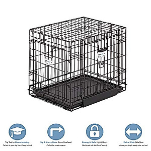 MidWest Homes for Pets Ovation Double Door Dog Crate, 24-Inch