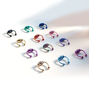 BELLNA Fake Nose Rings, Fake Septum Fake Nose Ring Horseshoe Stainless Steel Magnetic Nose Rings For Women Men Colorful, Fake Nose Rings Septum Rings Non-Pierced Clip On Nose Hoop Rings Jewelry 12pcs