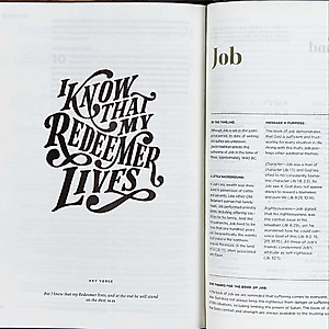 CSB He Reads Truth Bible, Charcoal Cloth Over Board, Black Letter, Wide Margins, Journaling Space, Illustrations, Reading Plans, Easy-to-Read Bible Serif Type