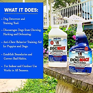 Nature's MACE Dog Repellent 40oz Spray/Treats 1,000 Sq. Ft. / Keep Dogs Out of Your Lawn and Garden/Train Your Dogs to Stay Out of Bushes/Safe to use Around Children & Plants