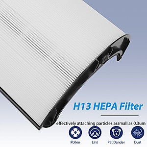 TP06 HEPA Replacement Filter for Dyson HP06 TP06 HP07 TP07 TP7A HP09 TP09 HP09 TP09 PH01 PH02 PH03 PH04, Part No. 970341-01, 2 in 1 Replacement, 2 PACK