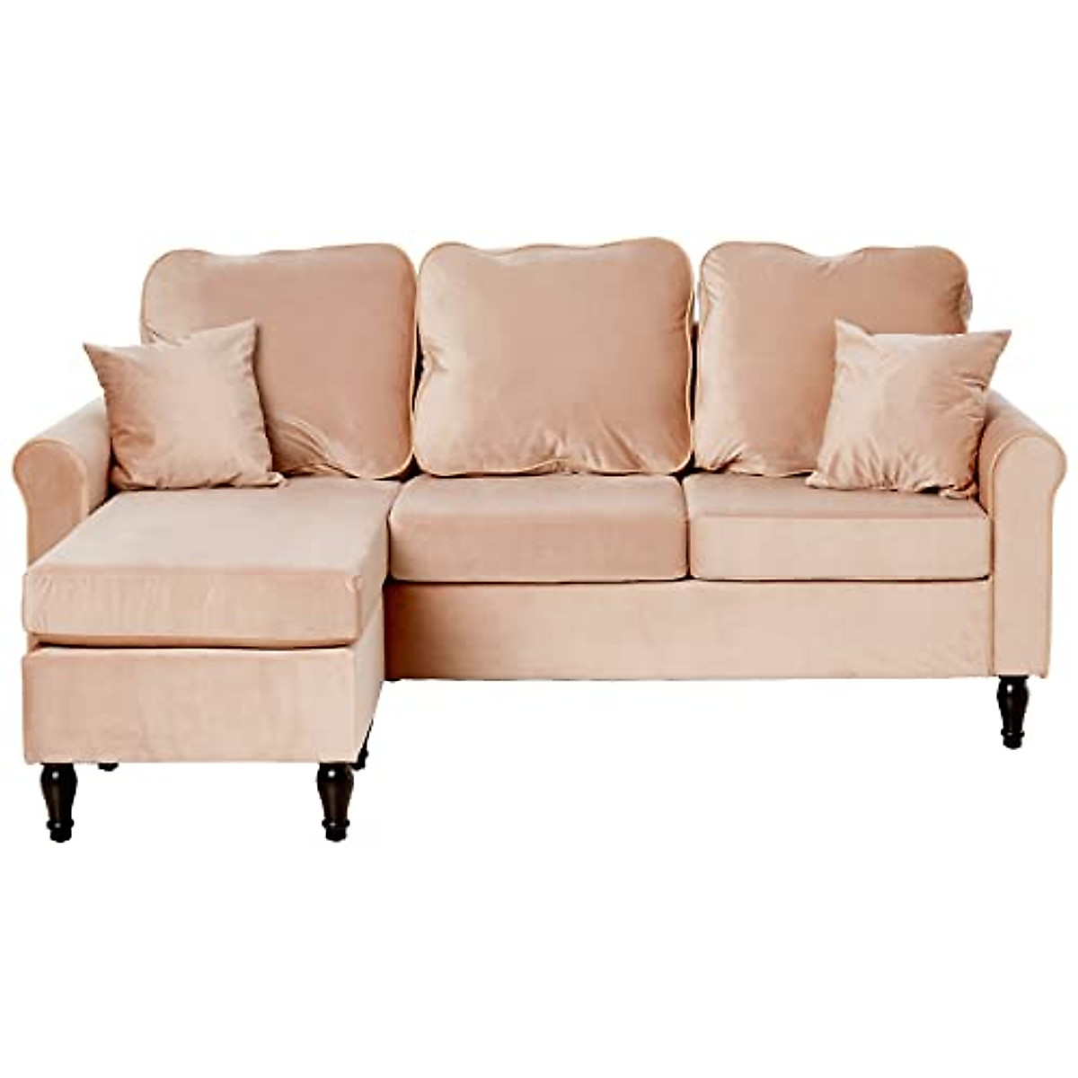 Divano Roma Furniture Classic Sectional, Champaign