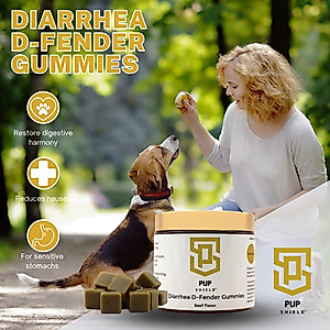 Pup Shield Dog Diarrhea Relief Gummies | Vet-Formulated Gut Health Support Treats with Probiotics, Pumpkin, Ginger, Marshmallow Root | Pure Digestive Aid for Canine Stomach Issues - 90 Gummies