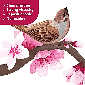 DECOWALL SG4-2306 Cherry Blossom Tree Wall Stickers Decals Peel and Stick Removable Wall Stickers for Kids Nursery Bedroom Living Room décor Floral Bird Furniture Art Baby Birch